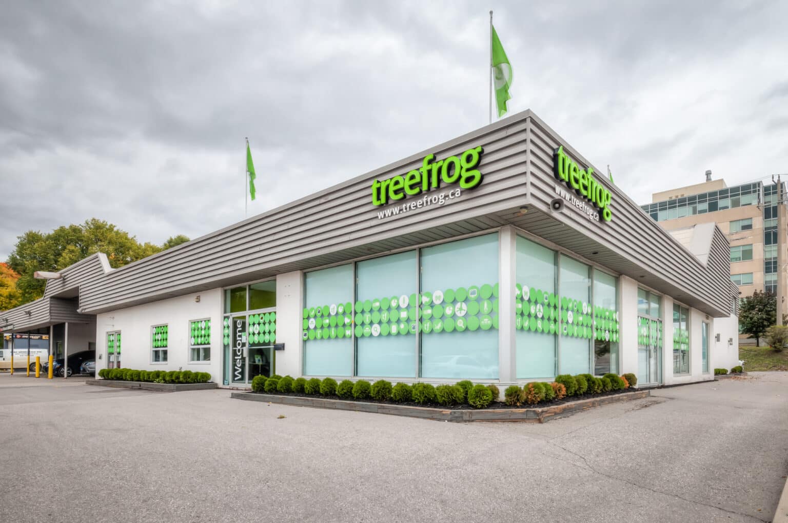 Treefrog Inc. - Studio Forma - Interior Design