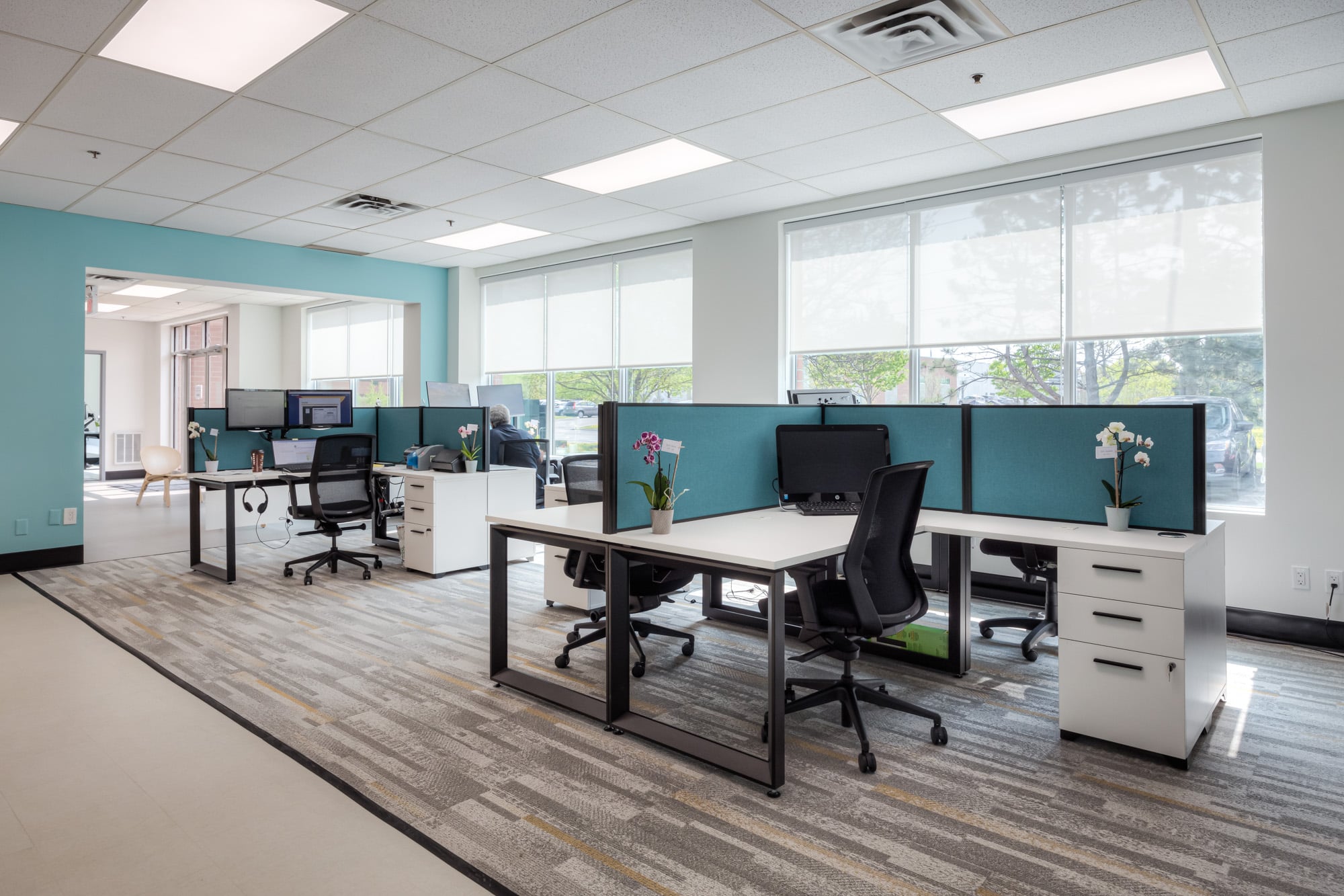 Workplace Design Productivity Wellness Package | Studio Forma